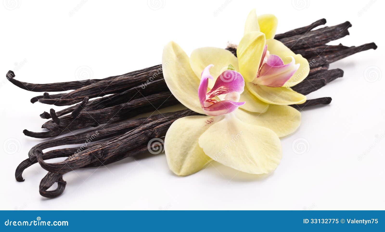 Vanilla Sticks With A Flower. Stock Image - Image of indian, dark: 33132775