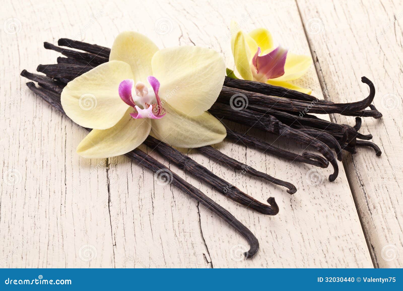 Vanilla Sticks with a Flower. Stock Photo - Image of gourmet, natural ...