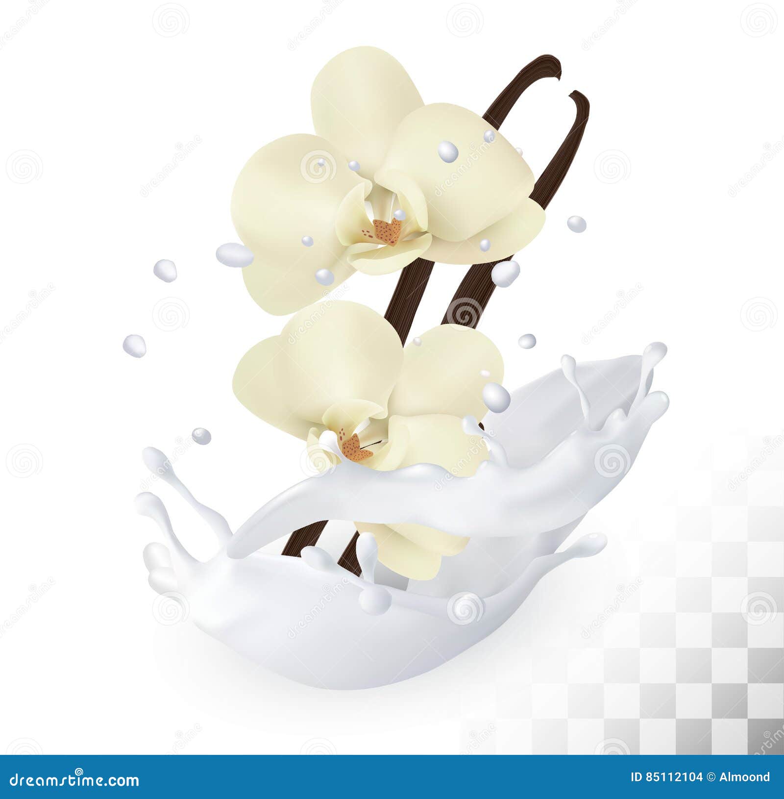 Vanilla Sticks Hand Drawn Watercolor Clip Art Royalty-Free Stock Photo ...