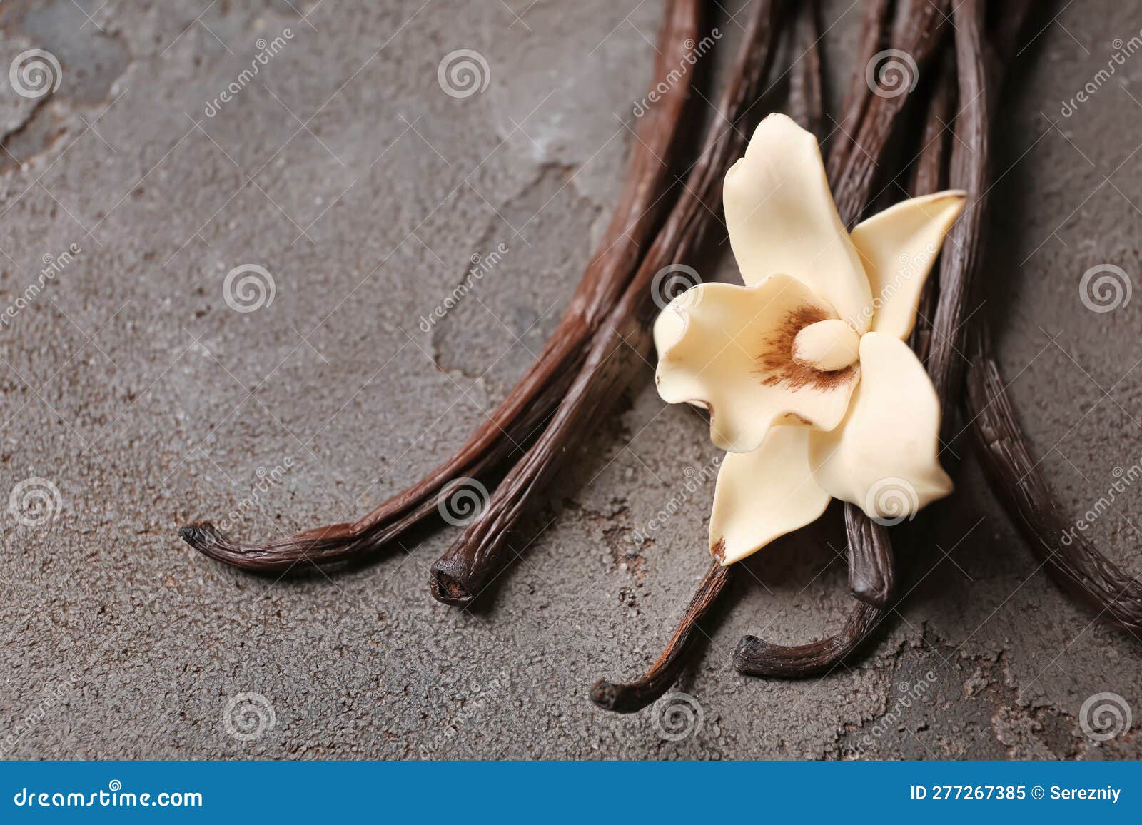 Aromatic Vanilla Sticks on Grey Background Stock Image - Image of ...