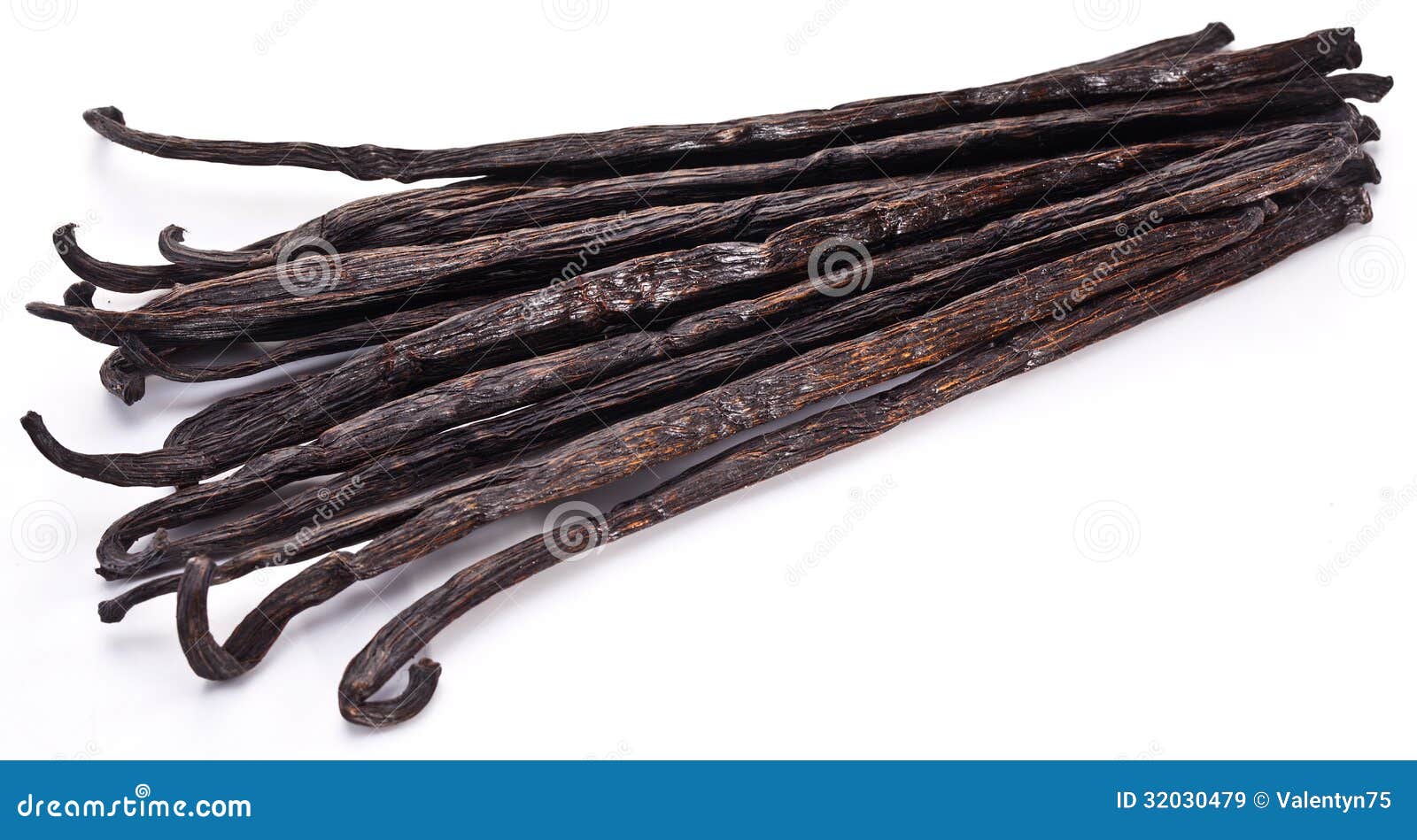 Vanilla sticks. stock image. Image of indian, exotic - 32030479