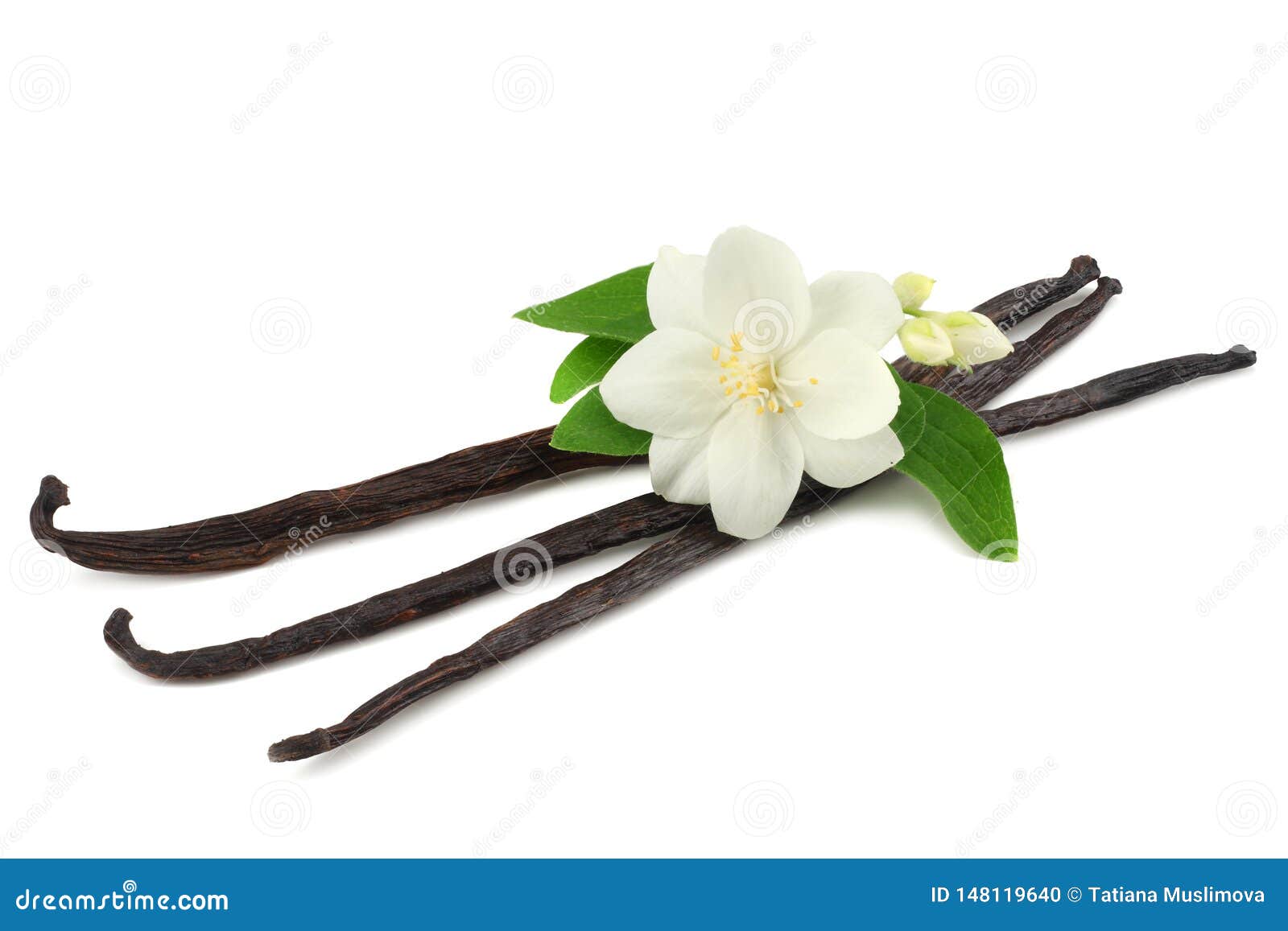 Vanilla Sticks With White Flower Isolated On White Background Stock ...