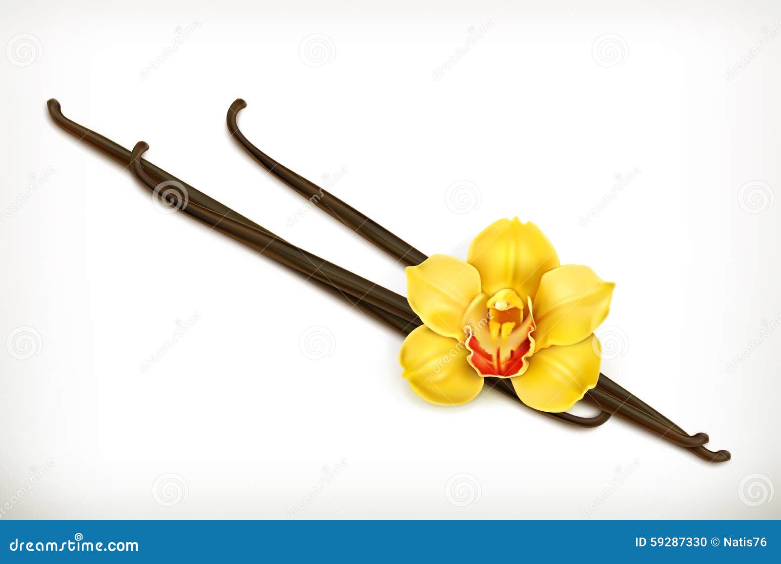 Vanilla Vector Stock Illustrations – 70,029 Vanilla Vector Stock ...