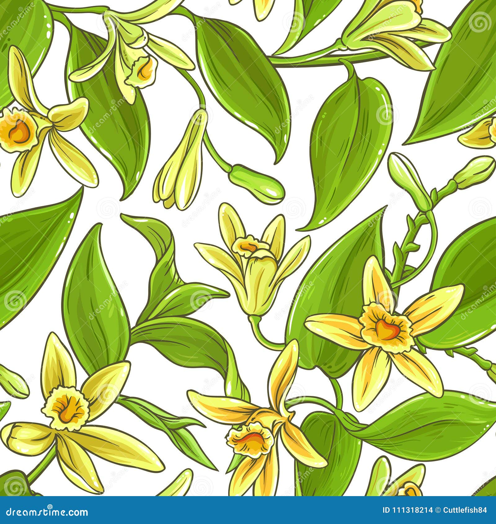 Vanilla vector pattern stock vector. Illustration of object - 111318214