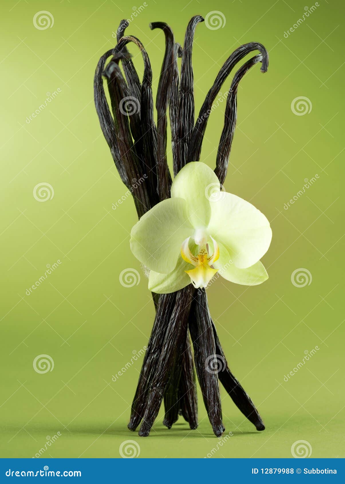 Vanille stock foto. Image of donker, azië, droog, aromatherapie - 12879988