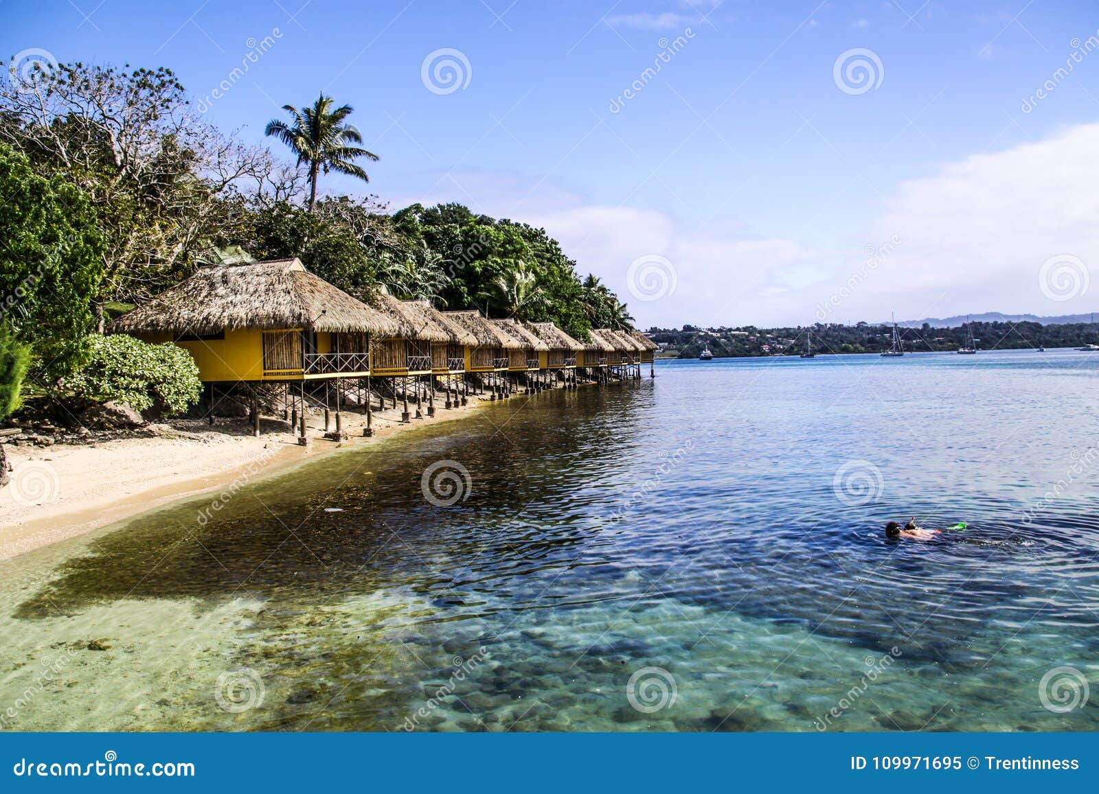 Vanuatu Islands in May 2015 Editorial Image - Image of jungle, hawaii ...