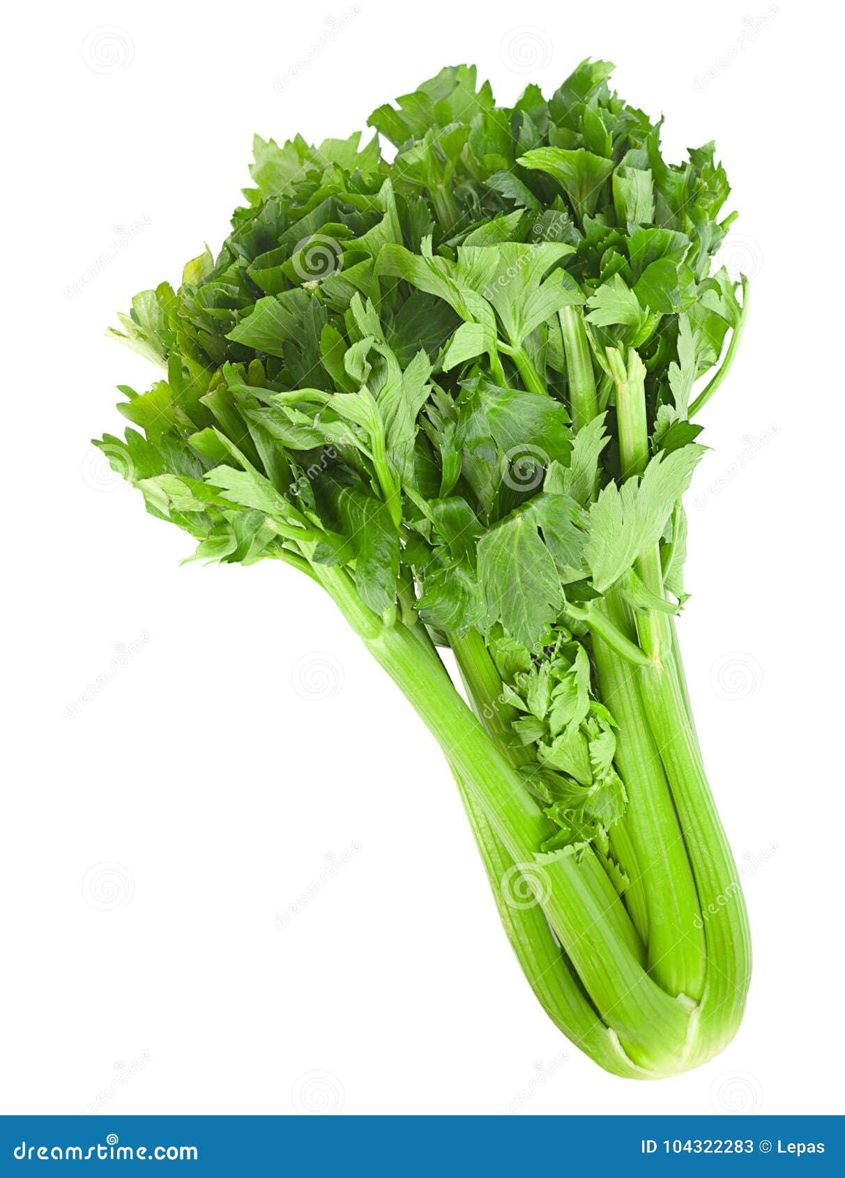 Vapor del apio en blanco imagen de archivo. Imagen de dieta - 104322283