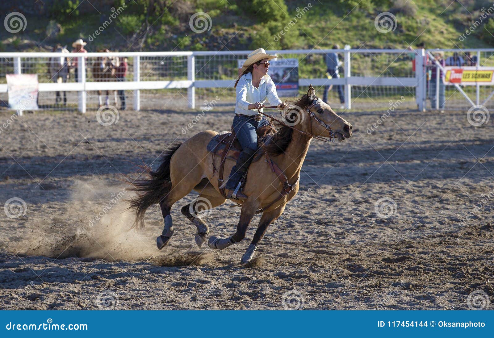 Vaqueras Que Compiten En El Montar a Caballo Del Barril Imagen de ...