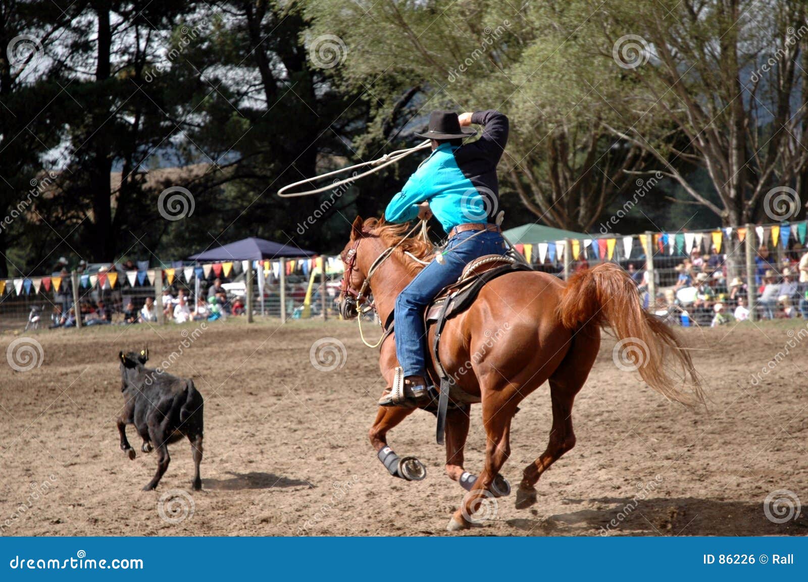 Vaquero foto de archivo. Imagen de polvo, vaquero, lazo - 86226