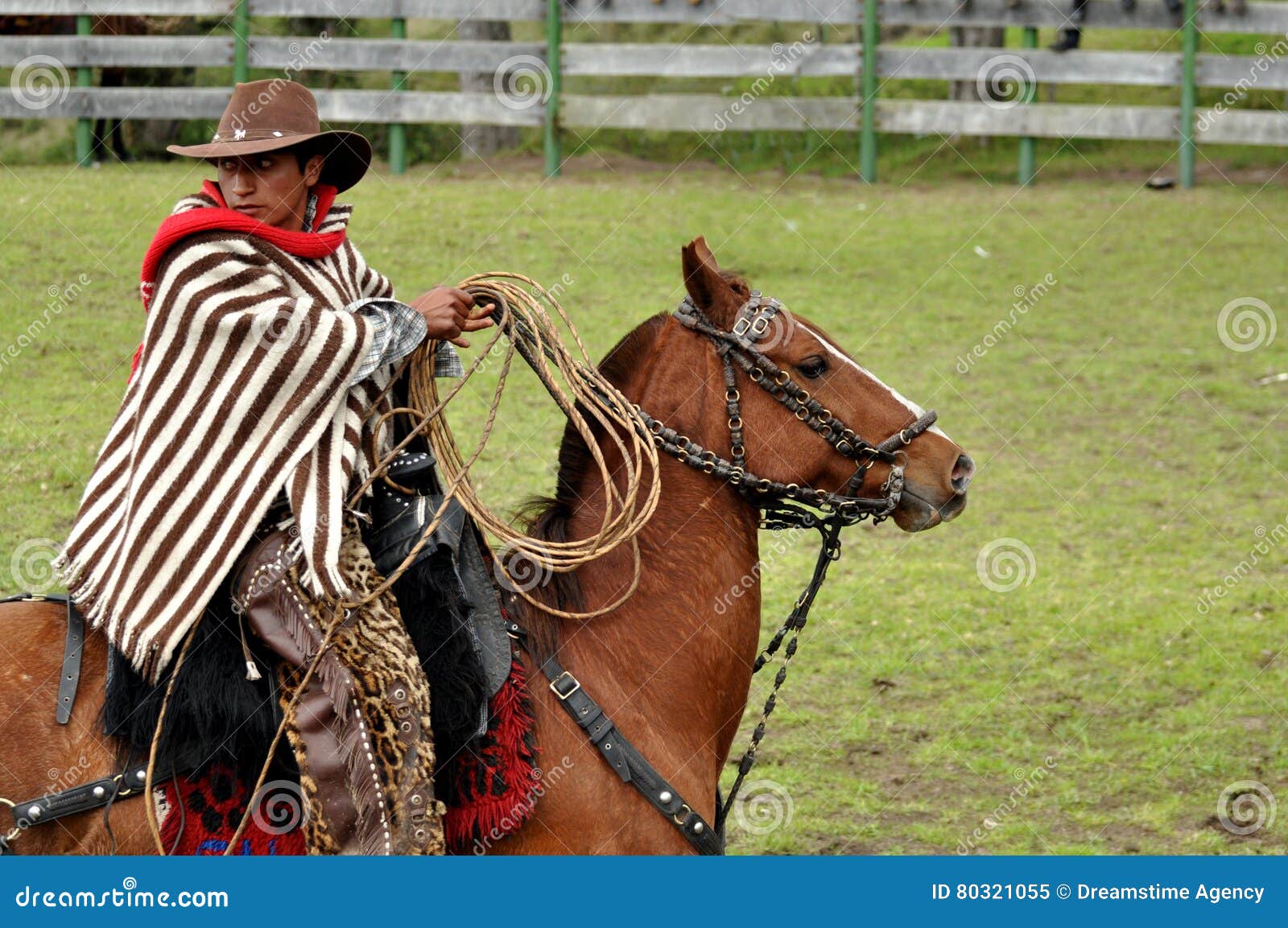Vaquero Del Rodeo Del Latino Imagen editorial - Imagen de redondo ...