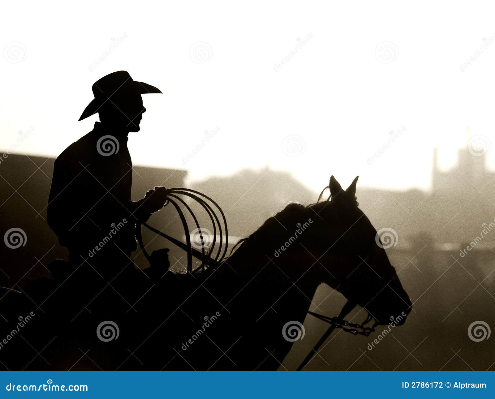 Vaquero en el rodeo foto de archivo. Imagen de cuerda - 2786172