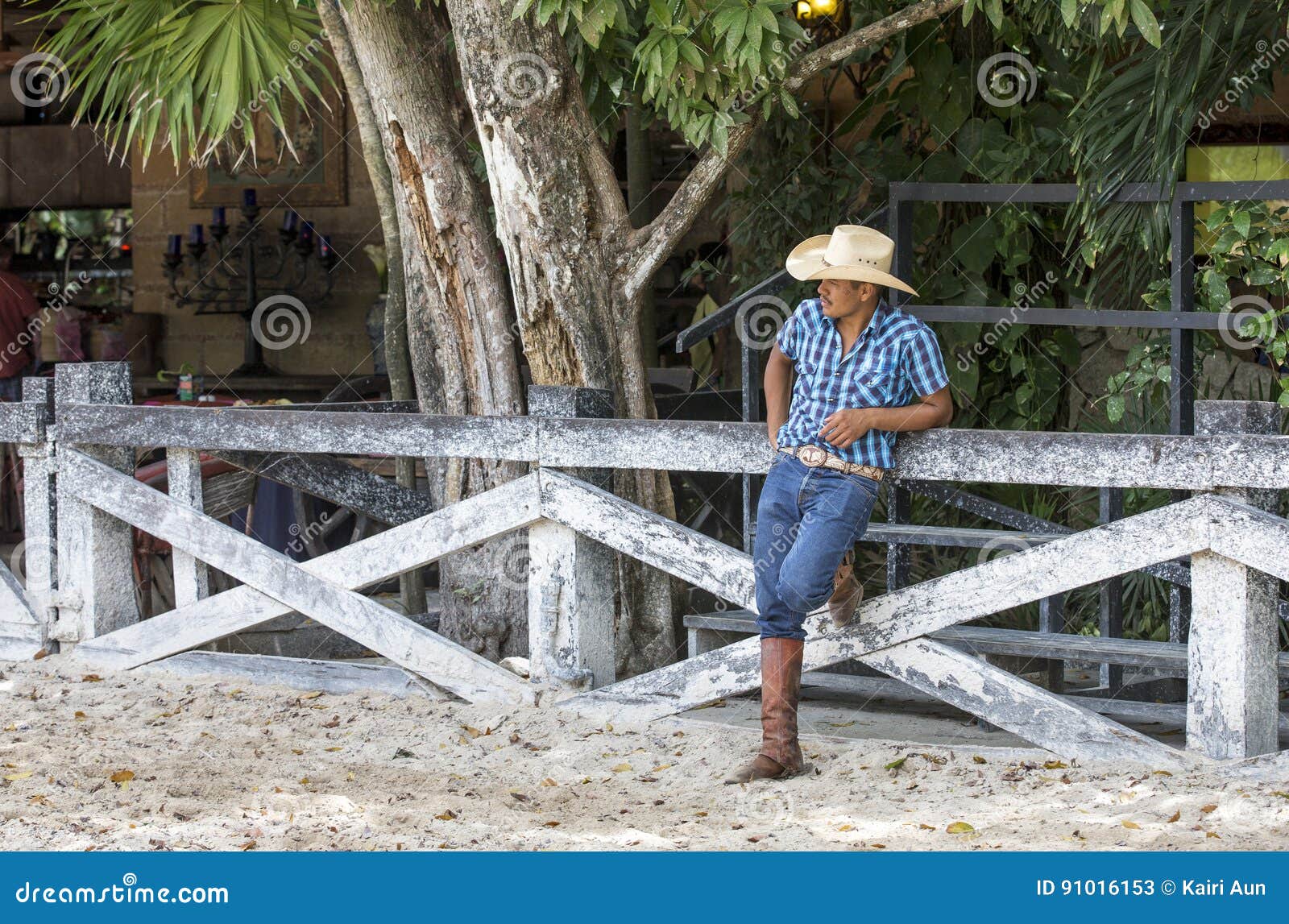 Vaquero en un rancho foto de archivo editorial. Imagen de hombre - 91016153