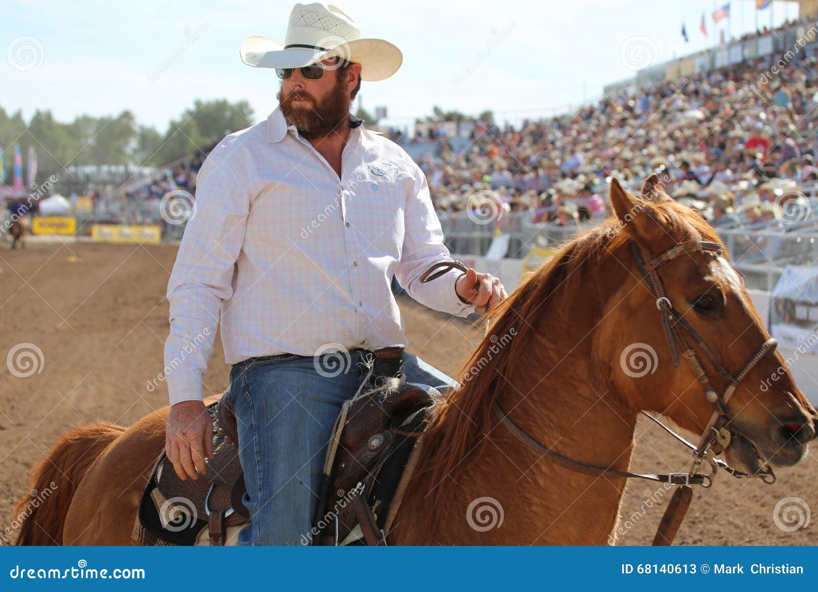 Vaquero Hermoso De La Barba En Caballo Foto de archivo editorial ...