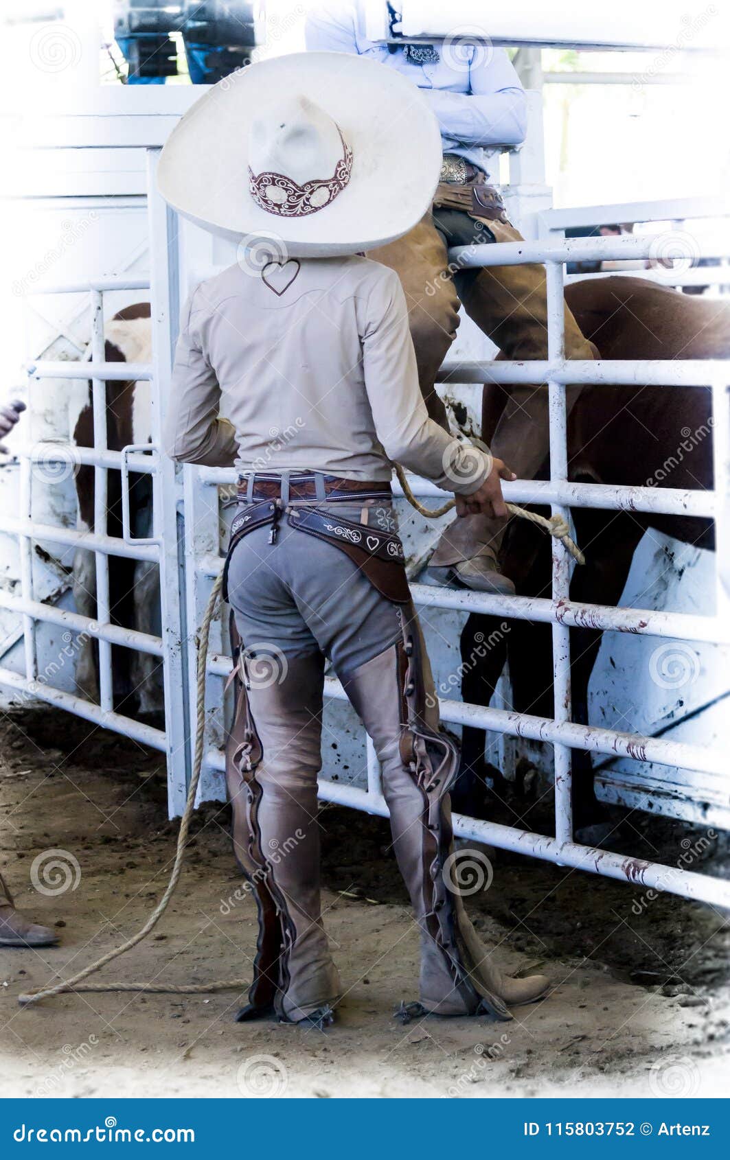 Vaquero mexicano fotografía editorial. Imagen de vaquero - 115803752