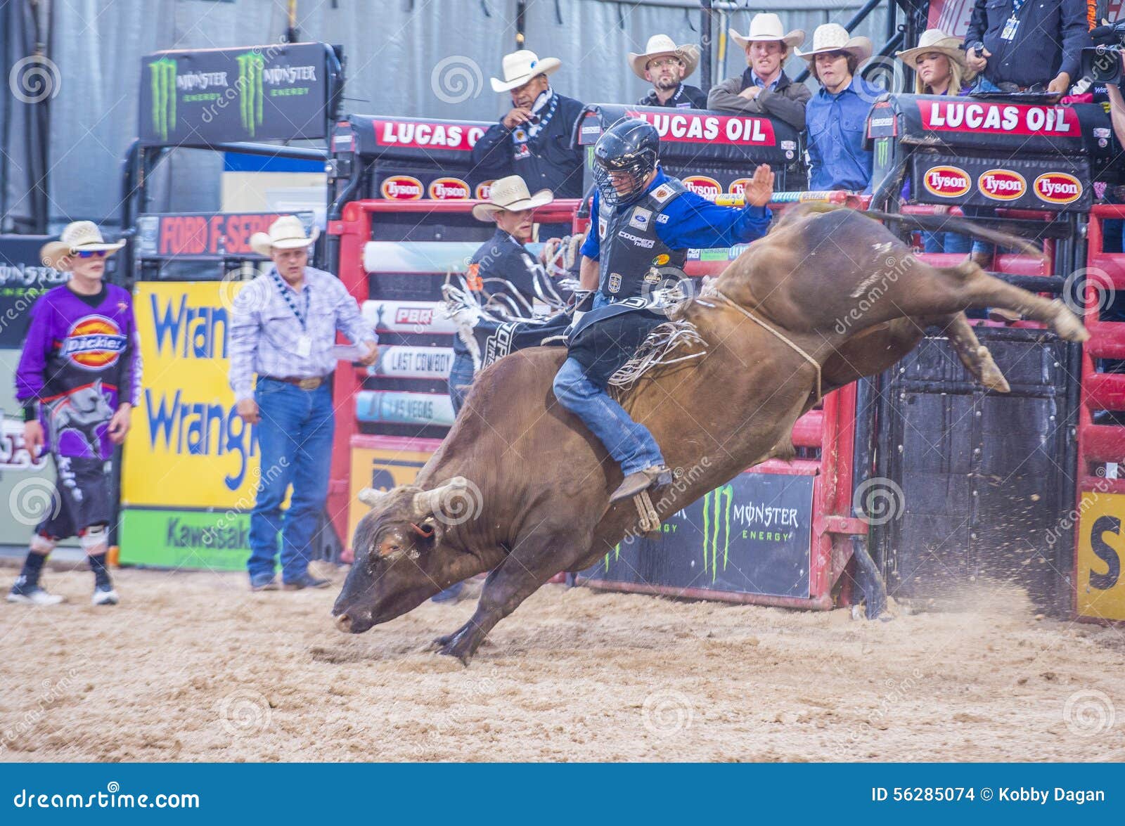 Vaquero pasado Standing imagen de archivo editorial. Imagen de arizona ...
