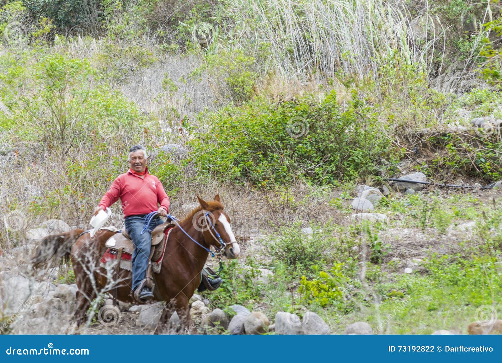 Vaquero Riding Horse fotografía editorial. Imagen de latino - 73192822