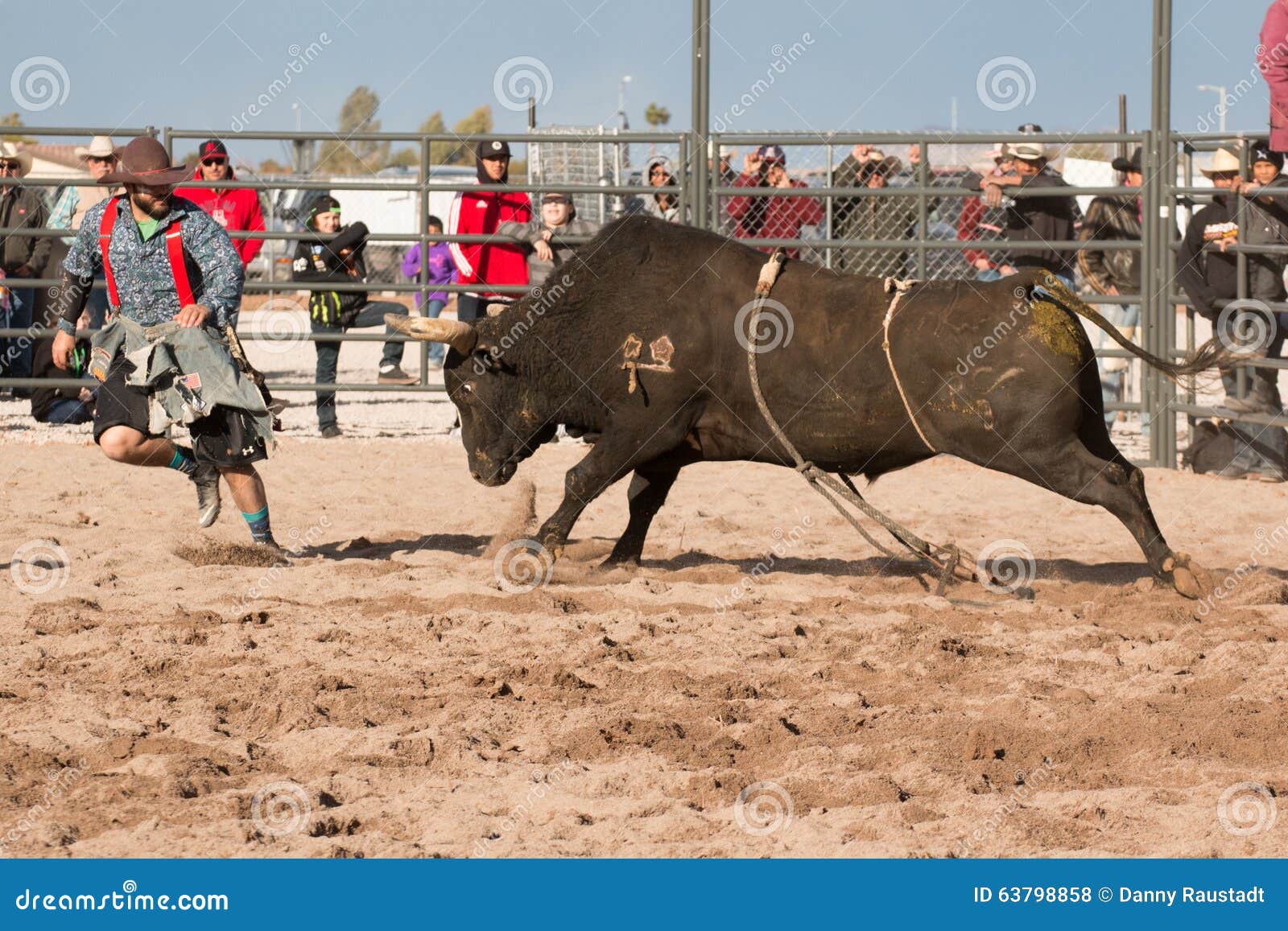 Vaquero Rodeo Bull Riding foto de archivo editorial. Imagen de paro ...