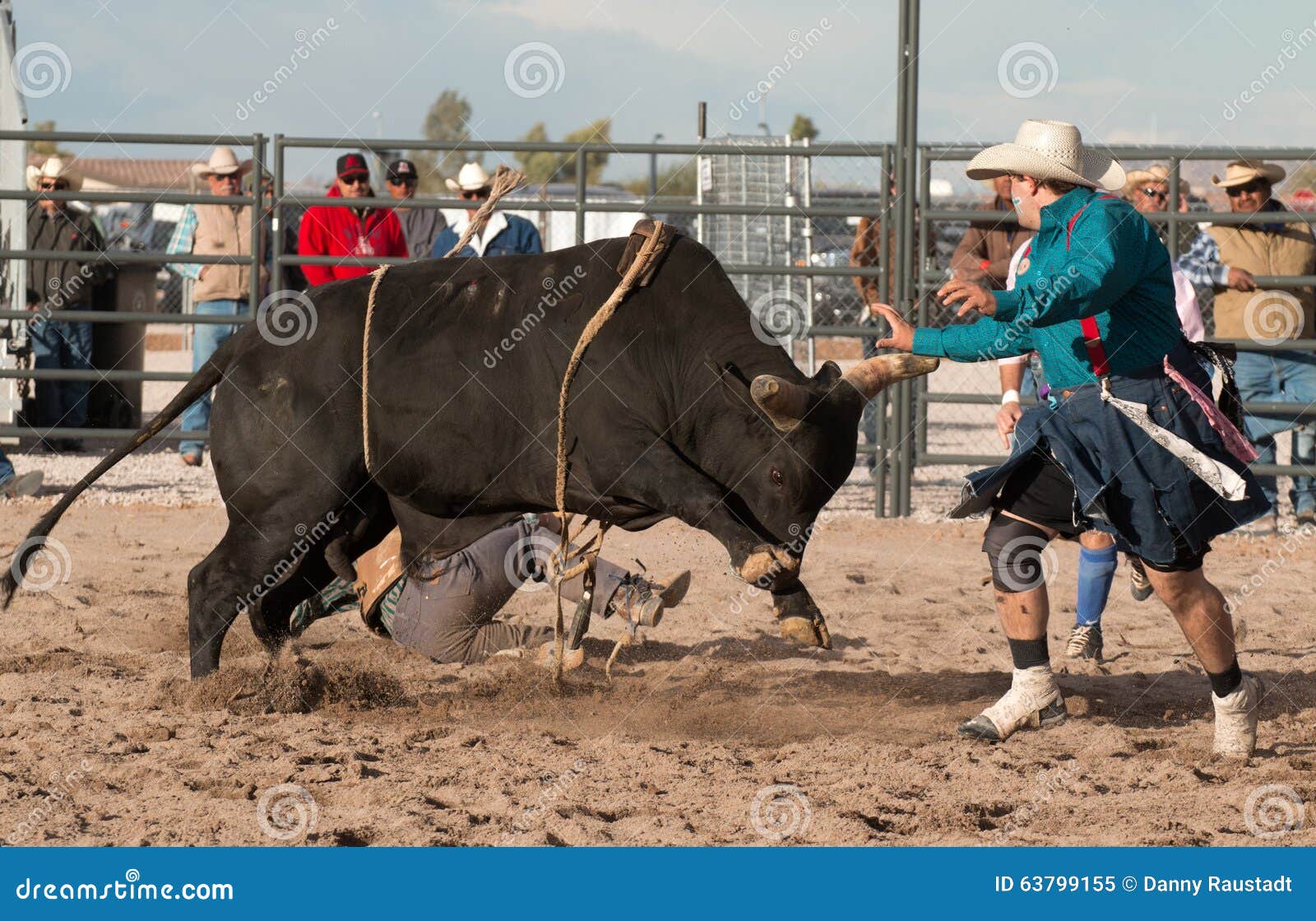Vaquero Rodeo Bull Riding imagen editorial. Imagen de atleta - 63799155