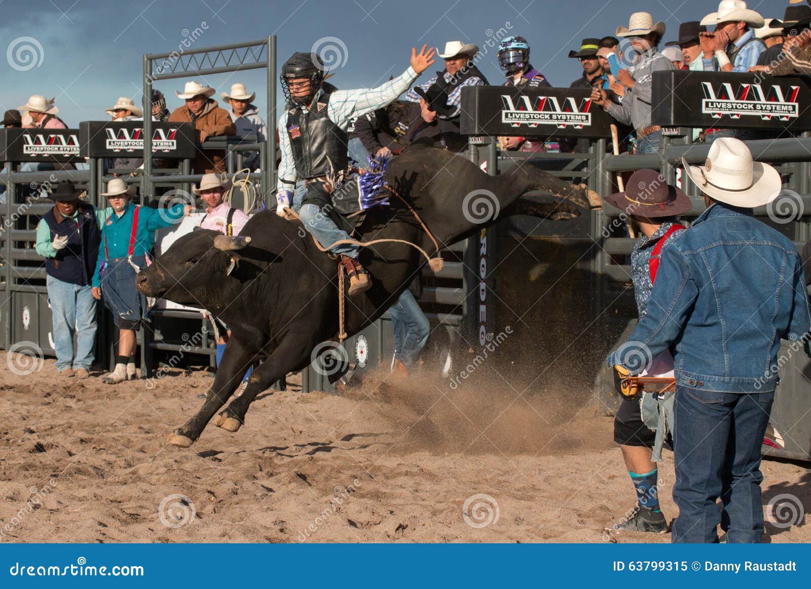 Vaquero Rodeo Bull Riding imagen editorial. Imagen de frontera - 63799315