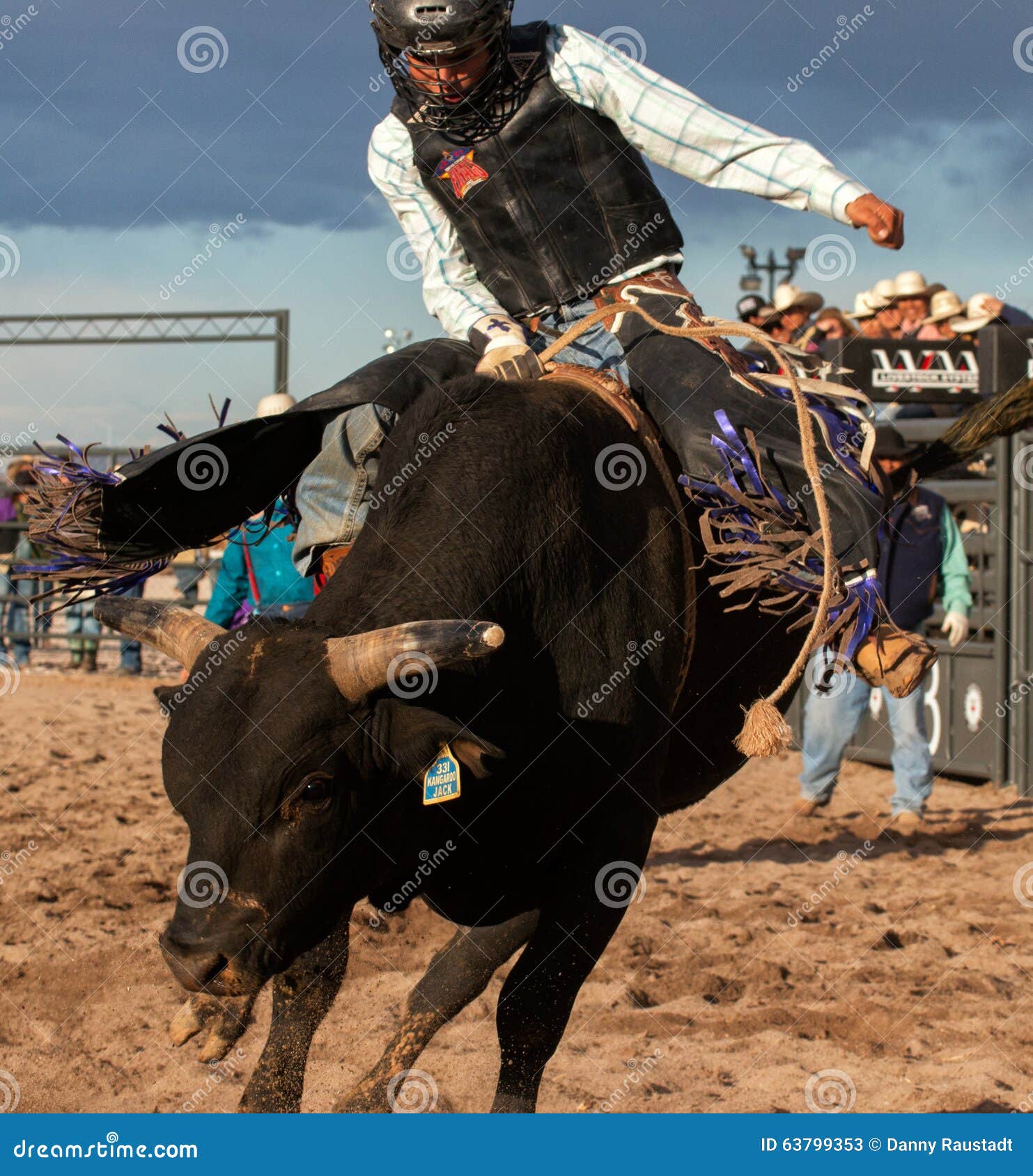 Vaquero Rodeo Bull Riding foto de archivo editorial. Imagen de casta ...