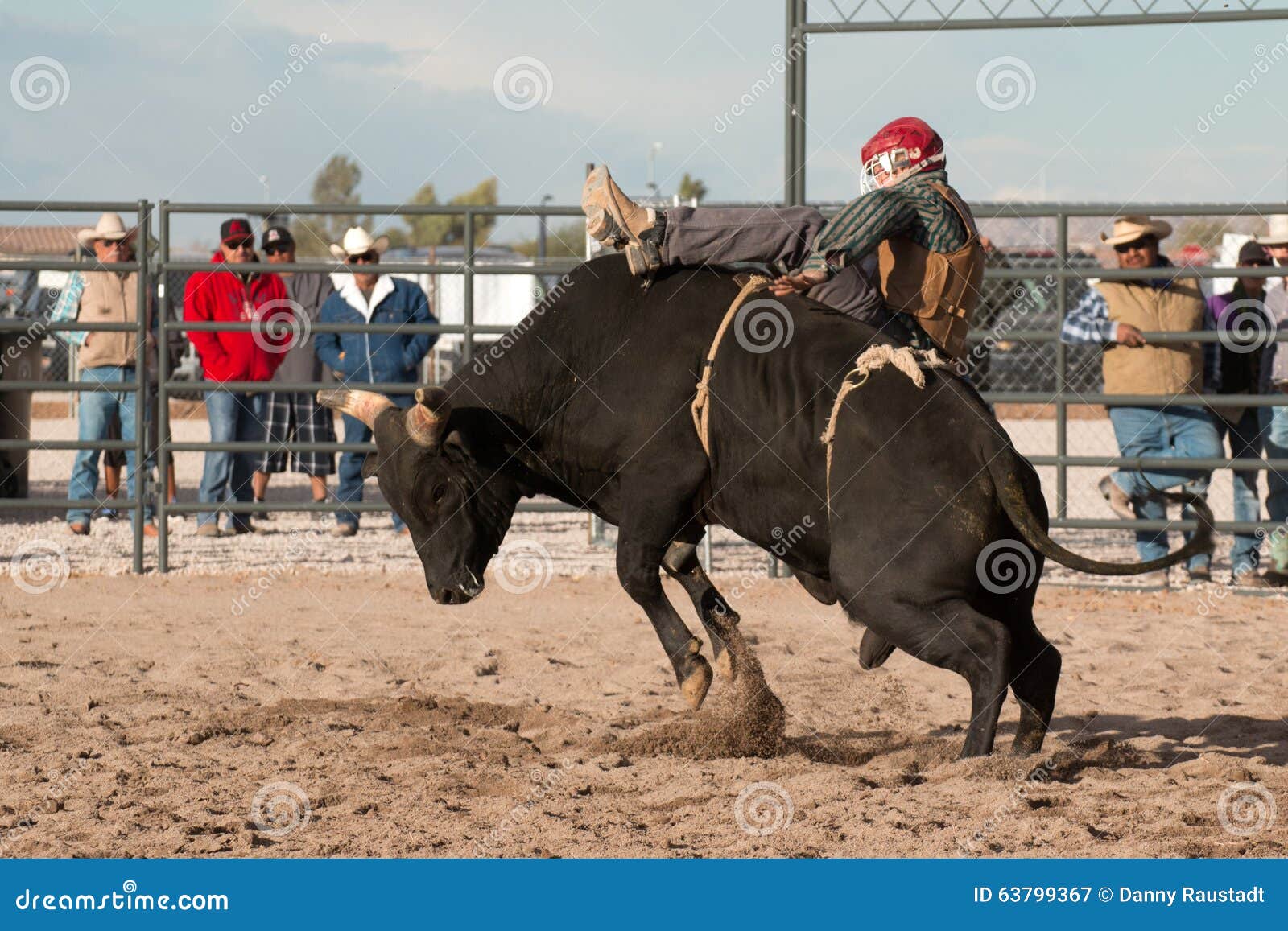 Vaquero Rodeo Bull Riding fotografía editorial. Imagen de america ...