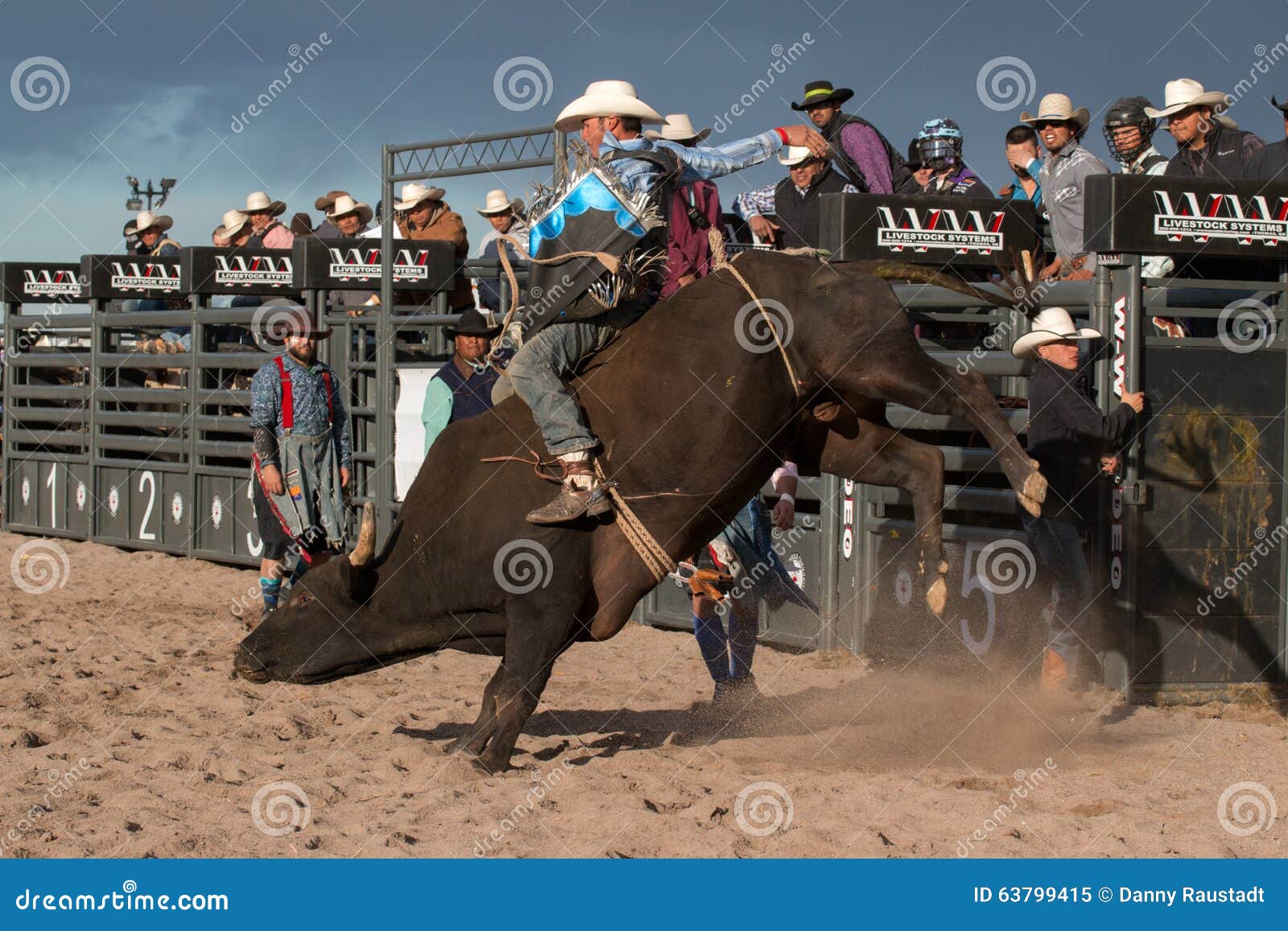 Vaquero Rodeo Bull Riding Fotos De Stock - Download 635 Fotos Libres de ...