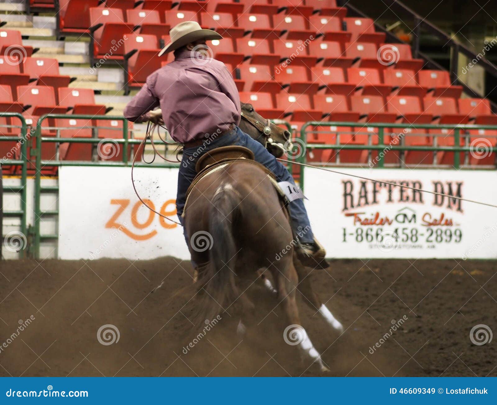 Vaquero Roping on Horseback Del Becerro Imagen de archivo editorial ...