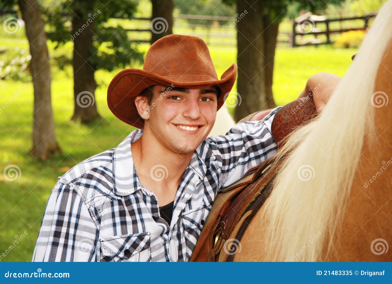 Vaquero y Palomino jovenes imagen de archivo. Imagen de muchacho - 21483335