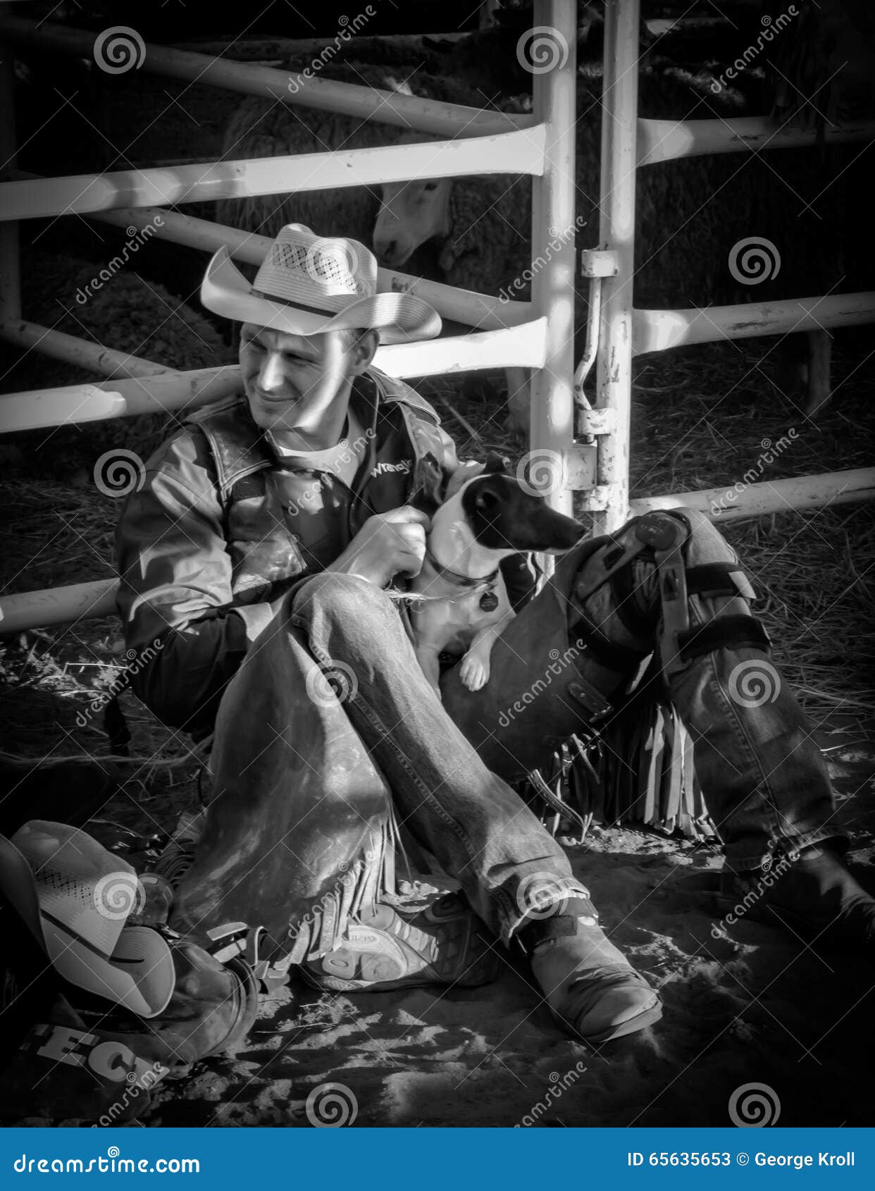 Vaquero y su perro foto de archivo editorial. Imagen de pastor - 65635653