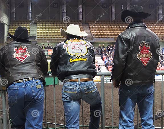Vaqueros del rodeo imagen de archivo editorial. Imagen de rodadura ...