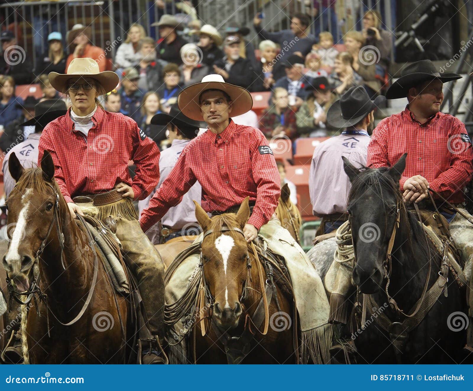 Vaqueros Del Rodeo a Caballo Foto editorial - Imagen de rodeo, vaquero ...
