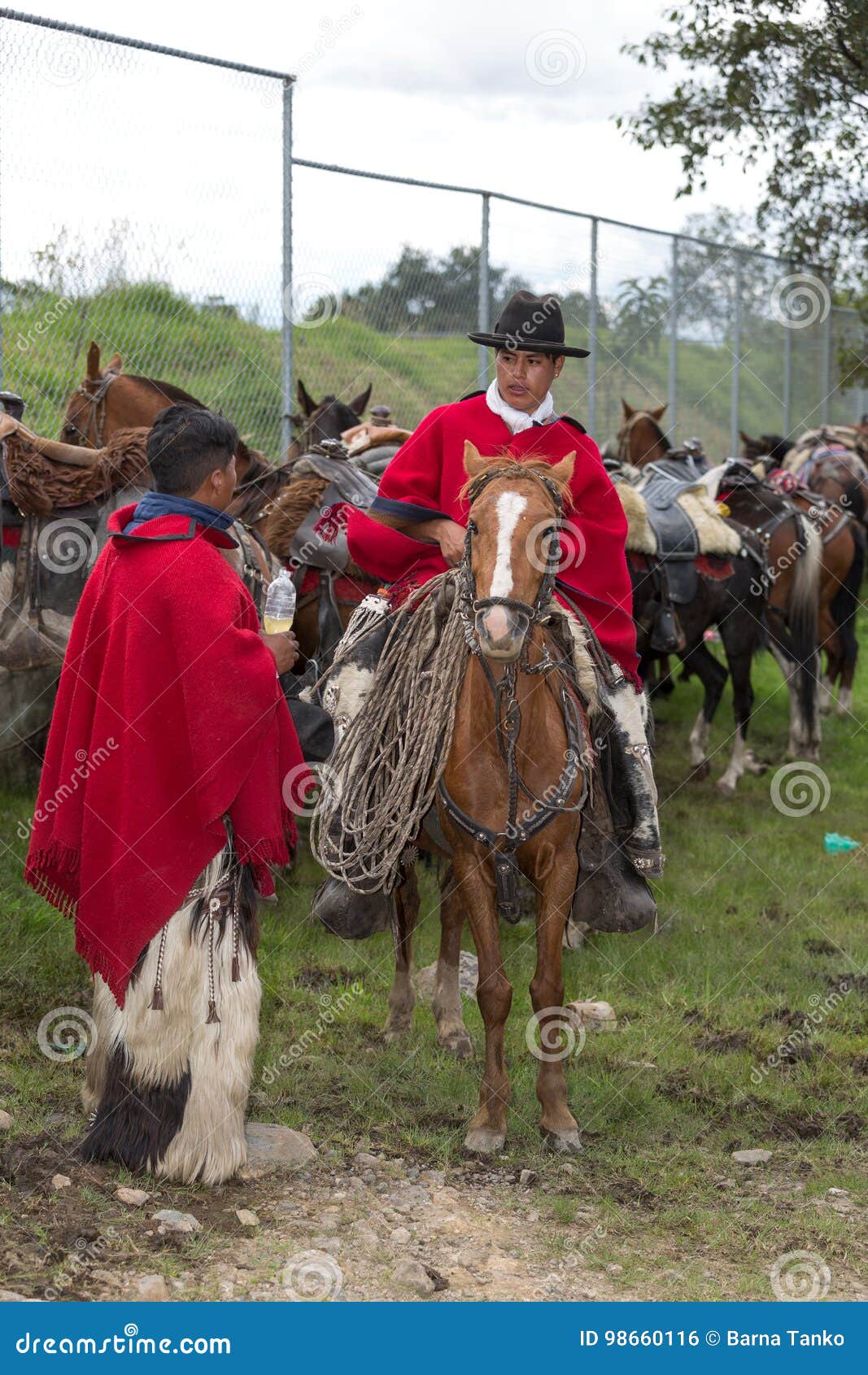 Vaqueros En Ecuador En Un Rodeo Rural Foto editorial - Imagen de ...