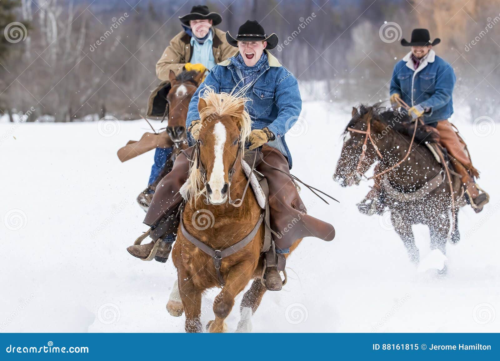 Vaqueros Que Reúnen Caballos En La Nieve Imagen editorial - Imagen de ...