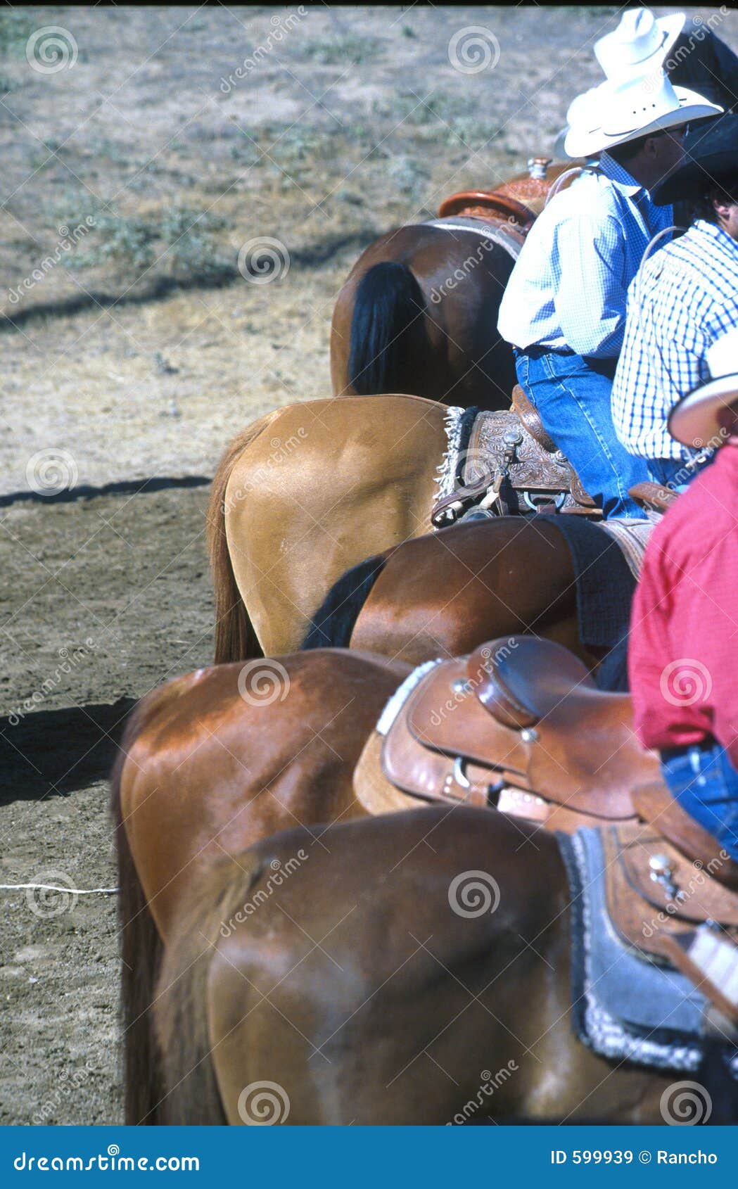 Vaqueros traseros del veiw imagen de archivo. Imagen de personas - 599939