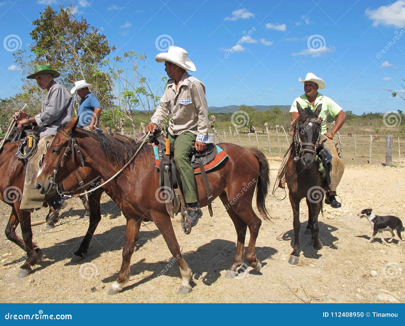 Vaqueros Y Un Perro En Un Camino De Tierra Imagen editorial - Imagen de ...