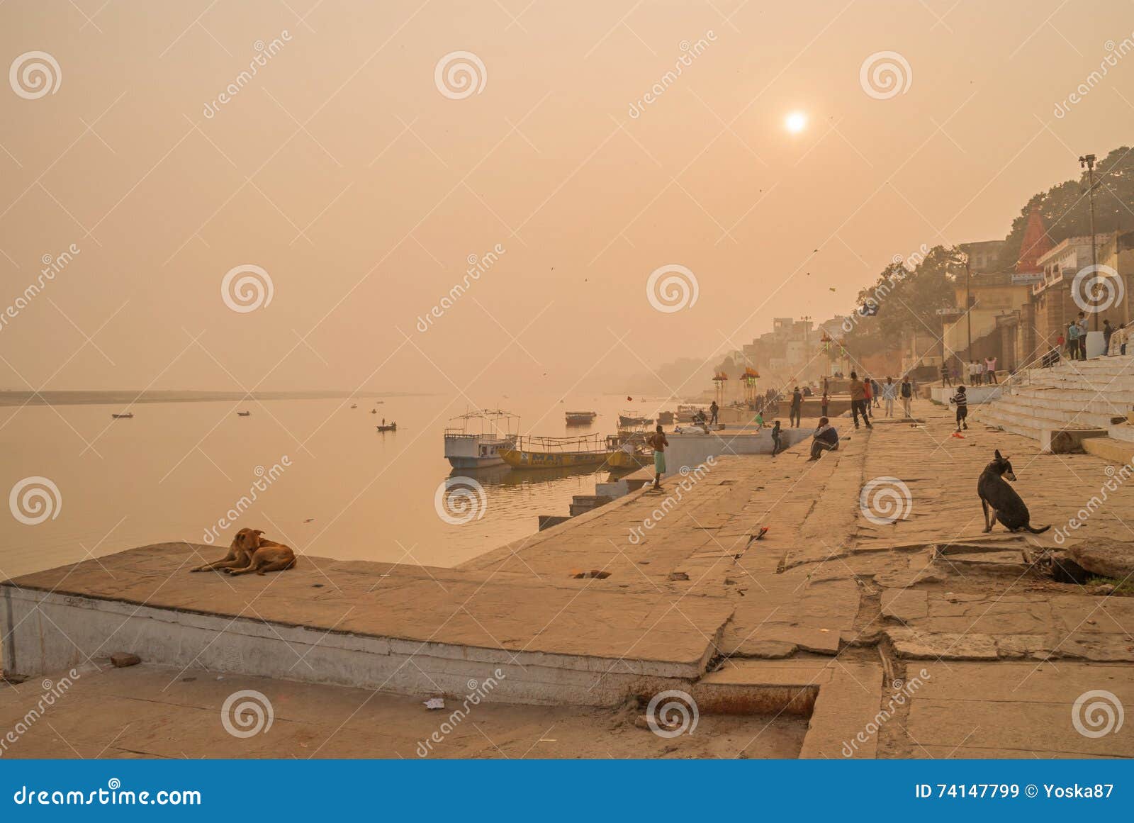 VARANASI, INDIA January 16. River Ganges Editorial Stock Image - Image ...