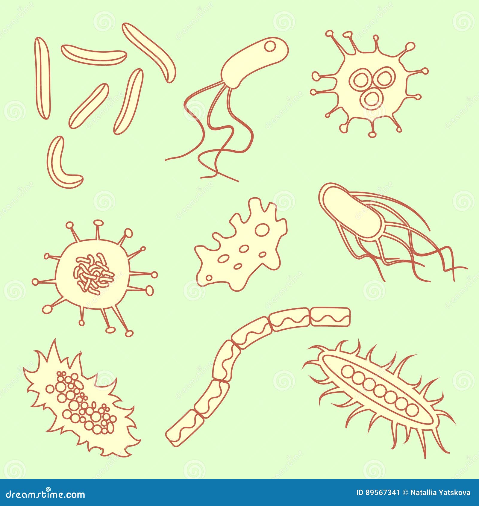 Variété Bactérienne De Micro-organisme Illustration de Vecteur ...