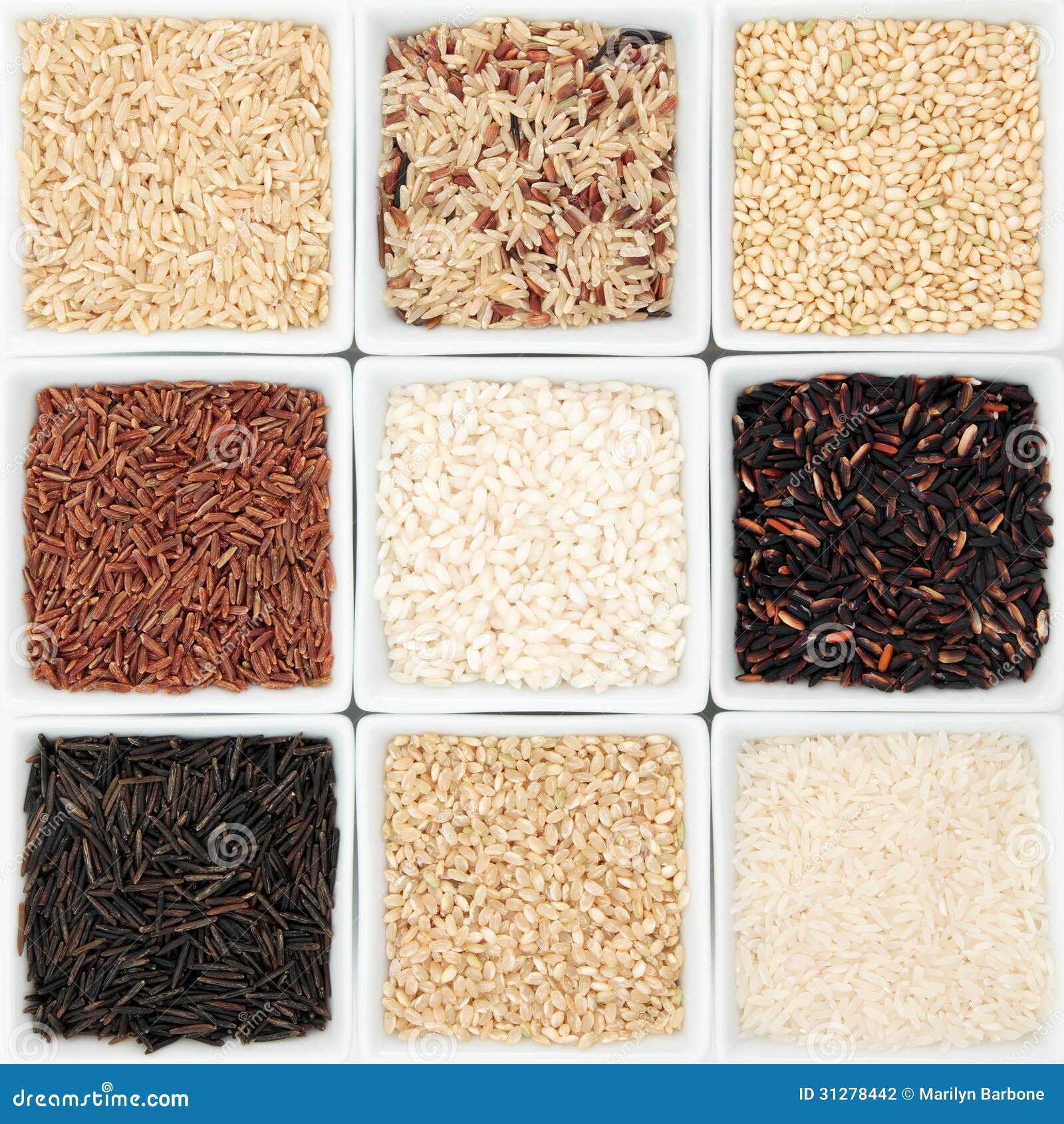 Variétés de grain de riz photo stock. Image du doux, blanc - 31278442