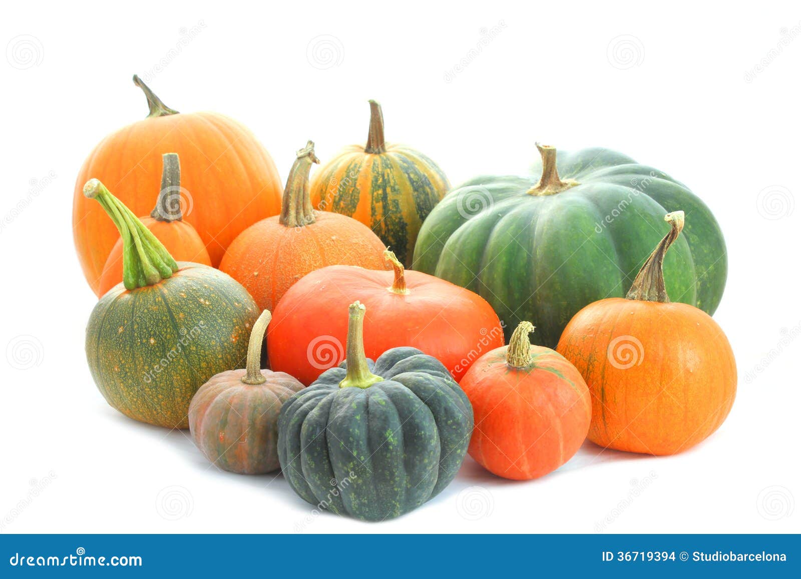 Variétés de potirons photo stock. Image du mûr, mascate - 36719394