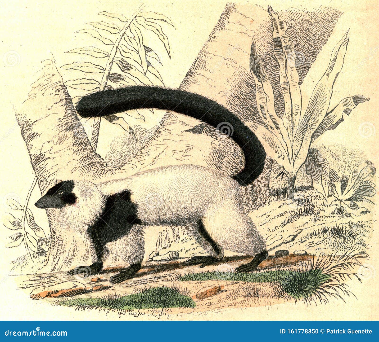 Vari Cartoons, Illustrations & Vector Stock Images - 212 Pictures to ...