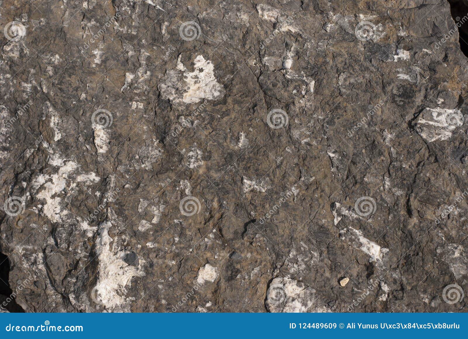 Variaciones De La Textura De La Roca Imagen de archivo - Imagen de ...