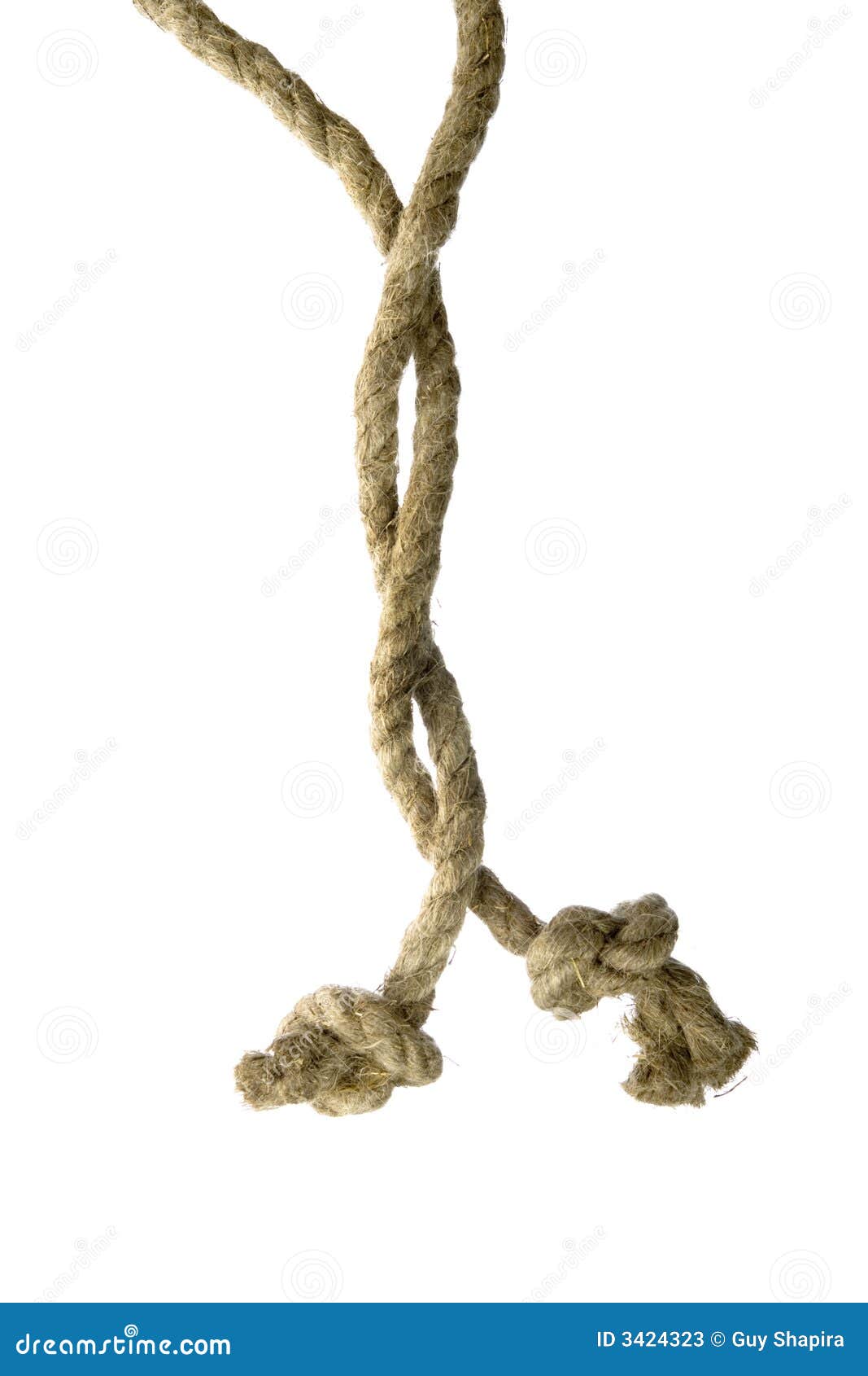 Variants of the Rope with Node Stock Image - Image of rope, uncord: 3424323