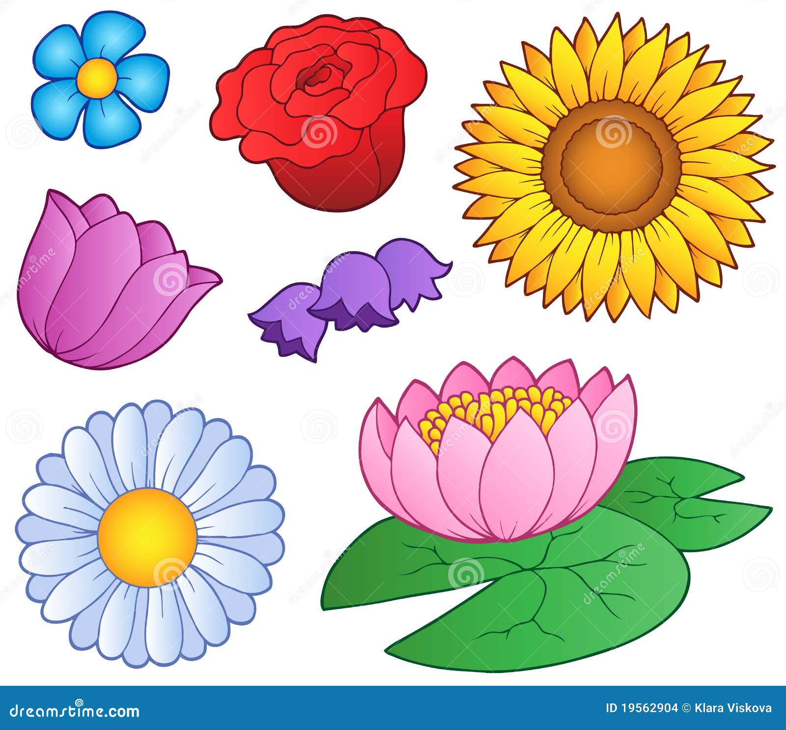 Varias flores fijadas ilustración del vector. Ilustración de crezca ...