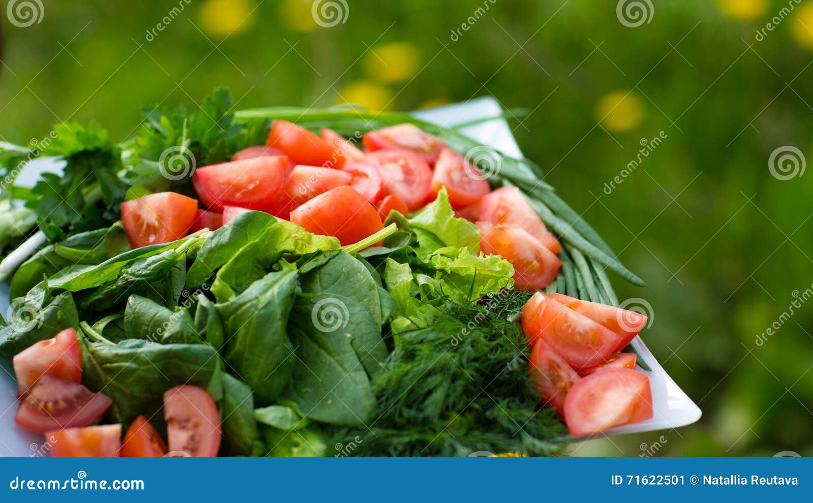 Variatie van groenten stock afbeelding. Image of markt - 71622501