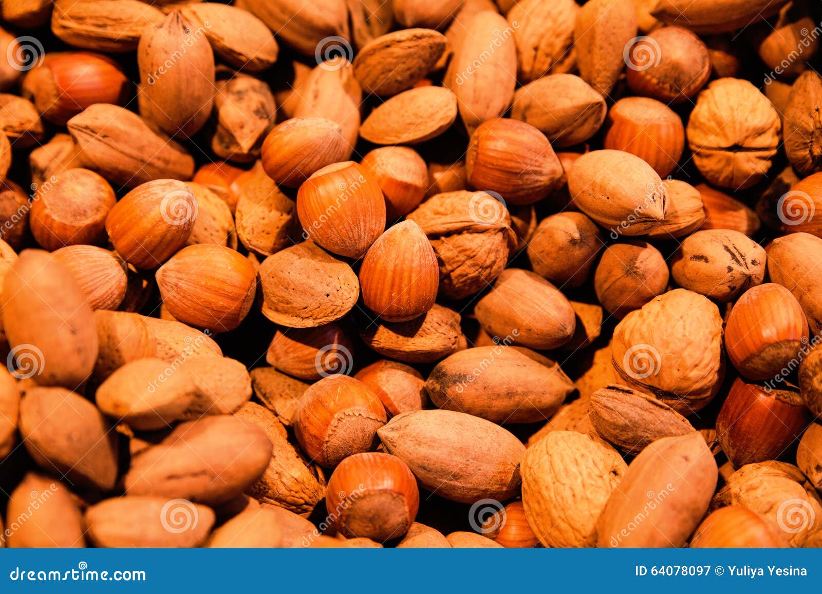 Variation of Different Nuts on Market Stock Image - Image of assortment ...