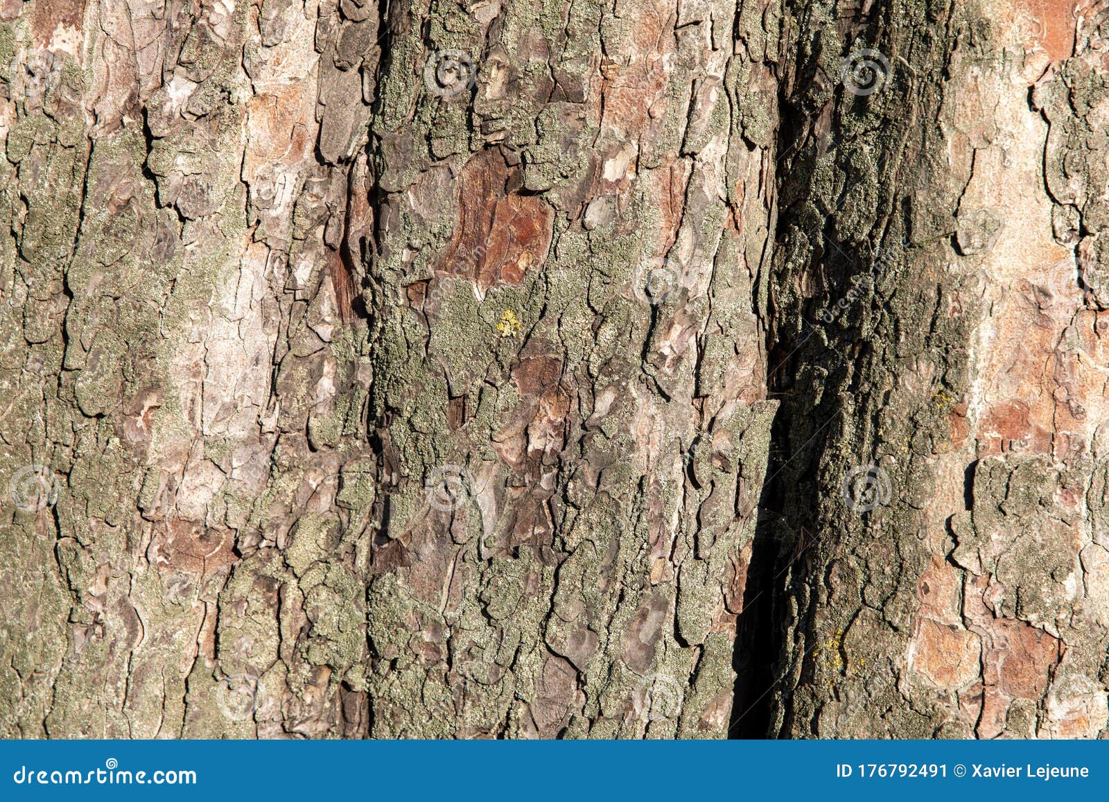 Variation of Sharp Abstract Texture Patterns Stock Image - Image of ...