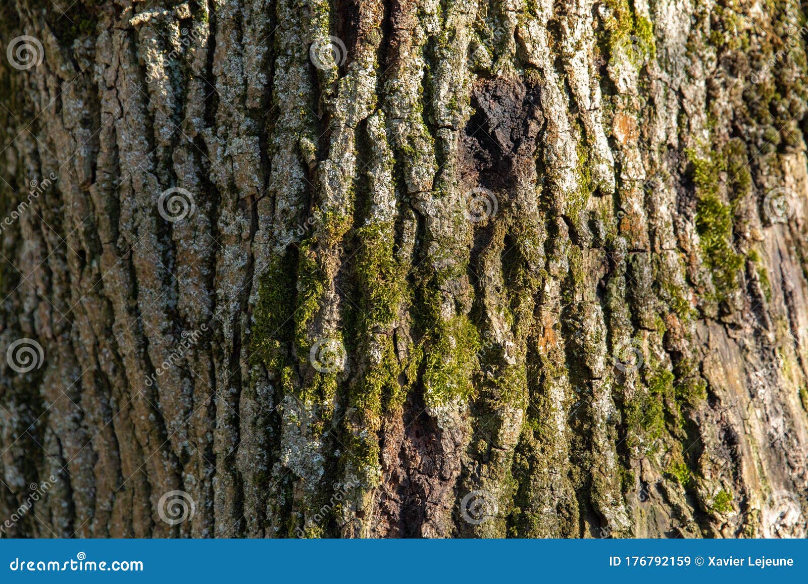 Variation of Sharp Abstract Texture Patterns Stock Image - Image of ...