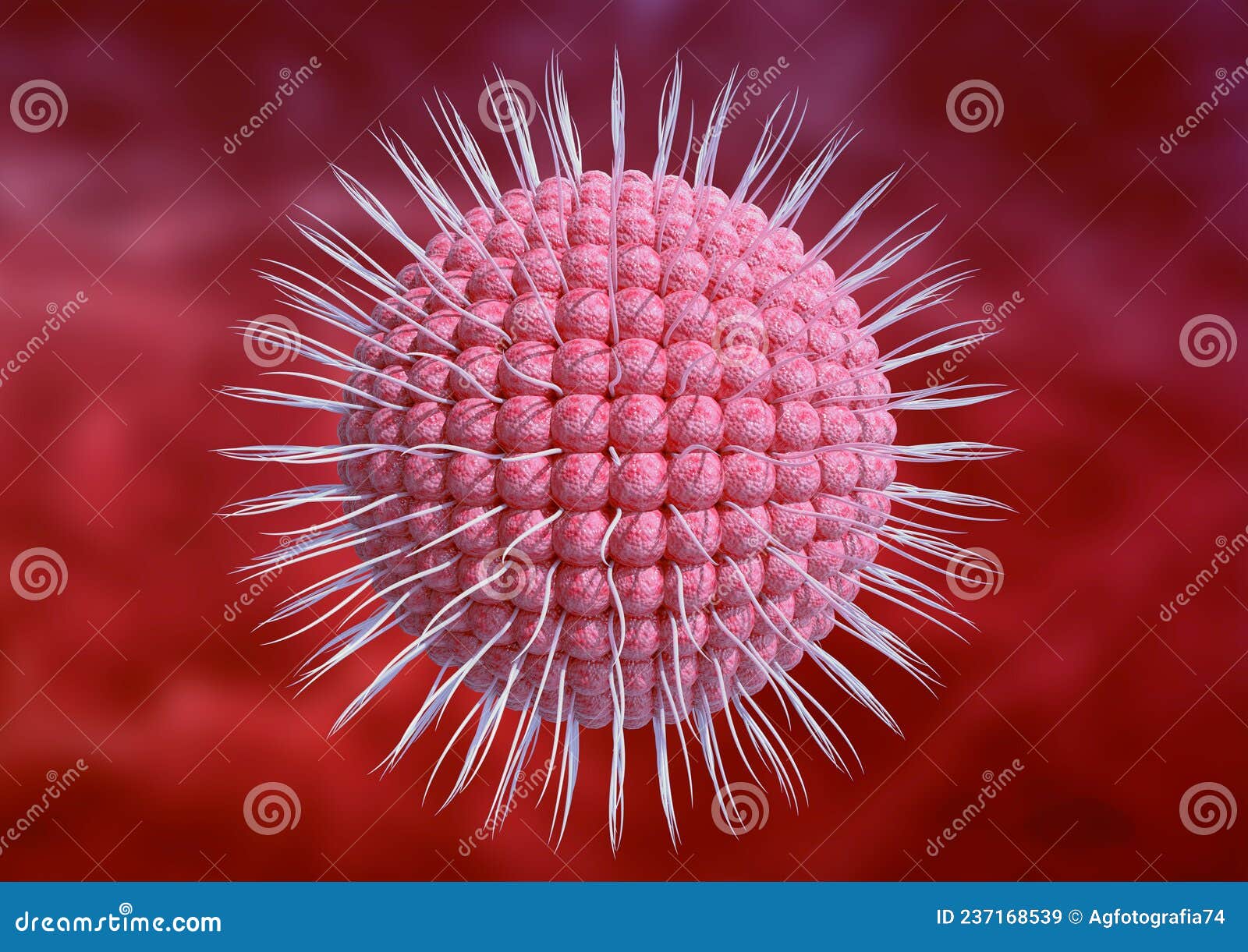 Varicella Zoster Virus is the Cause of Herpes in Humans. Microscopic ...