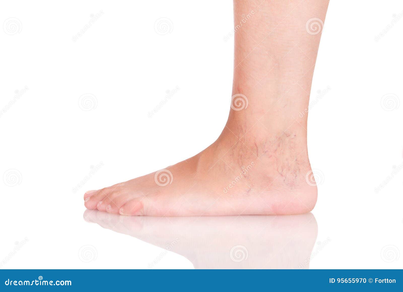 On Foot Only. Red Stop Sign. Do Not Enter. Circle Stock Image ...