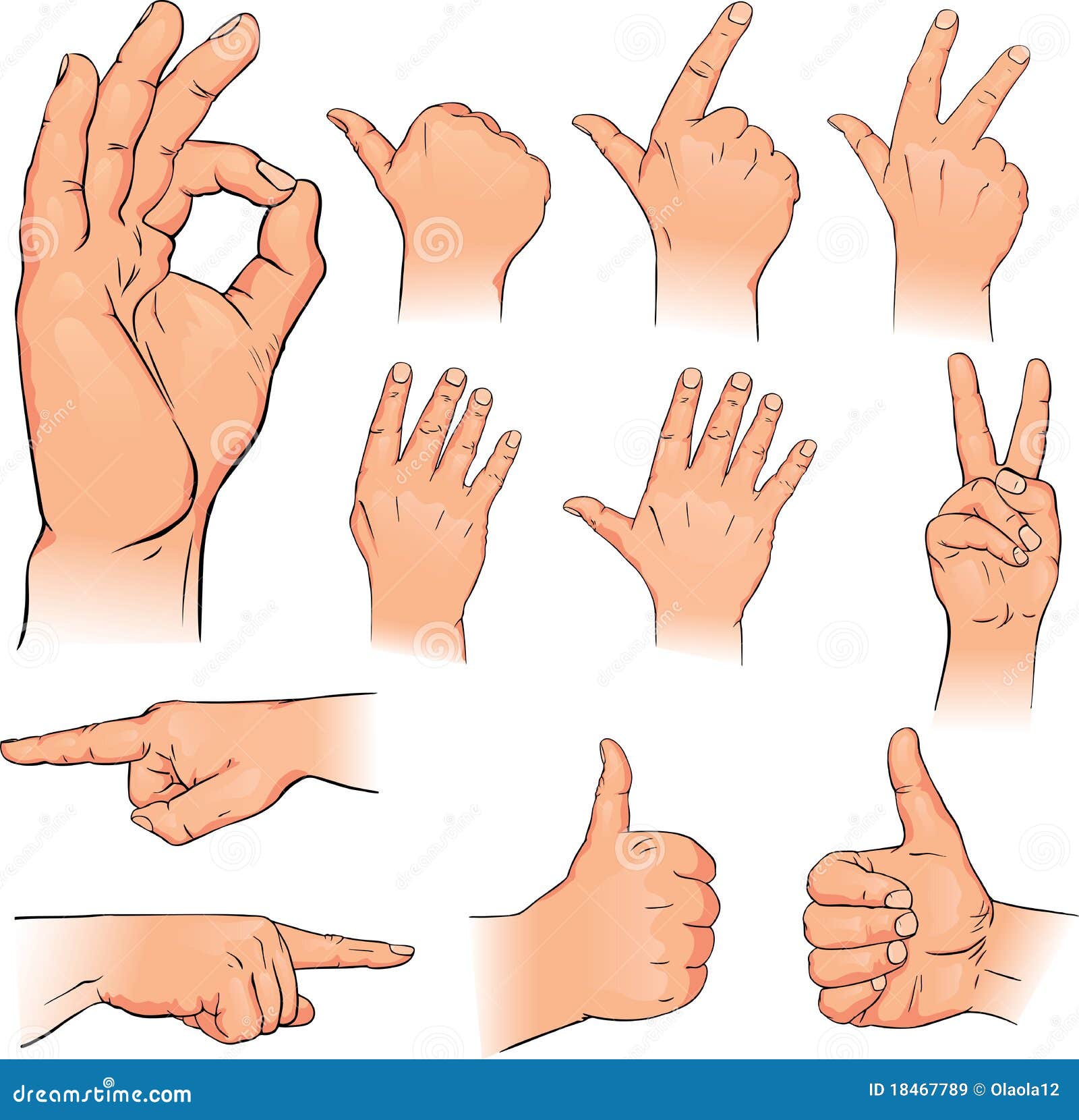 Varie Pose Delle Mani Umane Illustrazione Vettoriale - Illustrazione di ...